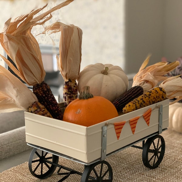 Mini Indian Corn, 4" to 5" Length, 5, 10, 20, 30, 40 and 50 Count, FREE ...