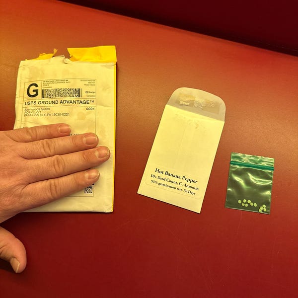 Thunder Mountain Longhorn Cayenne Heirloom Pepper Premium Seed Packet ...