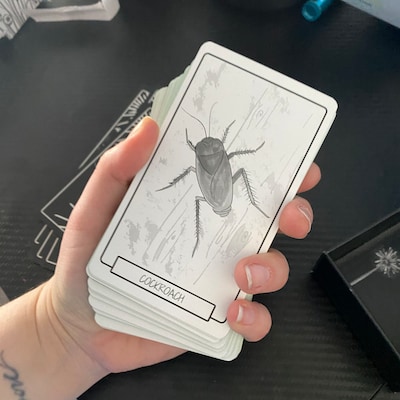 Diviner Definitions Oracle Deck: A Dictionary Inspired Oracle - Etsy