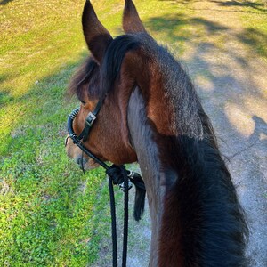 Pair Adult Size Black Steel Western Jingle Bob Spurs Engraved - Etsy