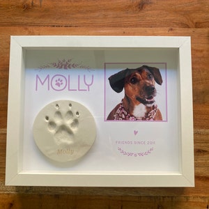 Pet Memorial Paw Print Holder Shadow Box Two Paw Prints Pet - Etsy