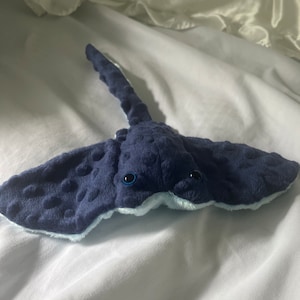 Roll a Random Gay Stingray Plushies - Etsy