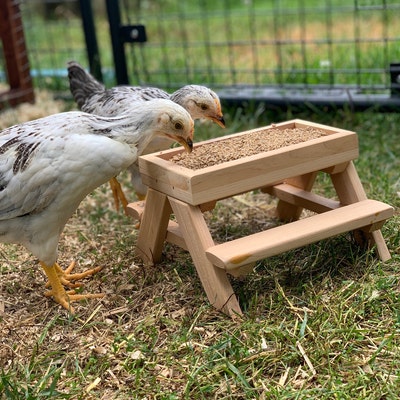 Cat Table, Elevated Feeder, Kitten Table, Picnic Table, Pet Feeder, Pet ...