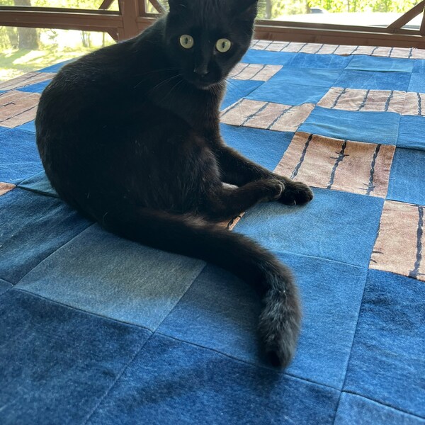 Stonehenge Celtic Roots Small Celtic Knots Teal Multi WIDE BACKING by ...