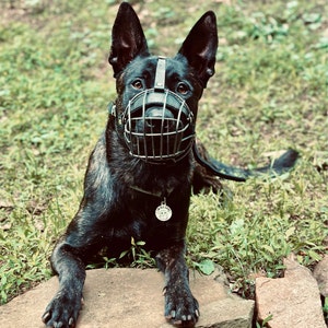 Custom Powder Coated Metal Wire Basket Dog Muzzle - Etsy