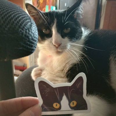 Peeking Cat Sticker Black and White Cat Stickers Tuxedo Cat Good ...