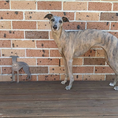 Rustic Steel Kangaroo Family Outdoor Garden Decoration - Etsy Australia