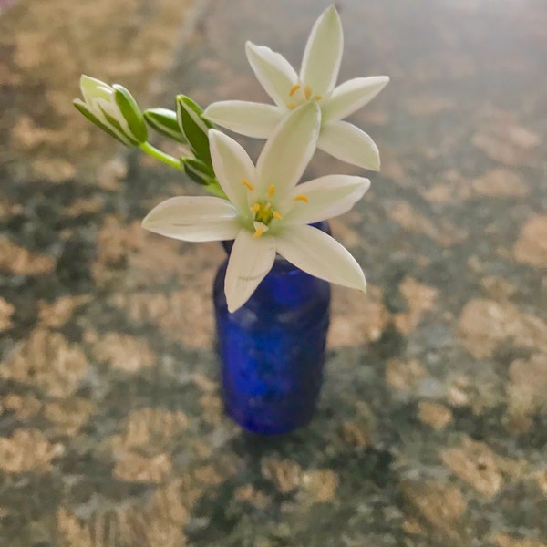 Foundation Printer and Duplicator 1934 Model Printing Blocks Set - Etsy