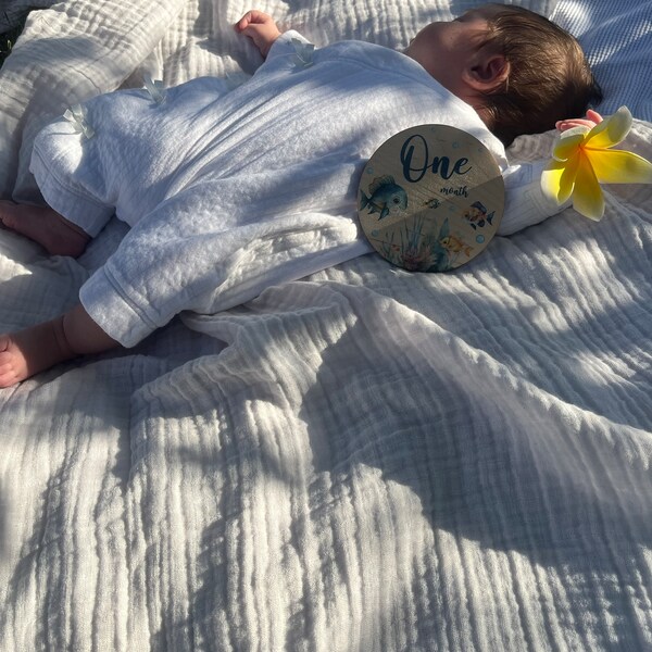 Under the Sea Milestone Cards, Baby Milestone Fish Discs Marker, Wood ...