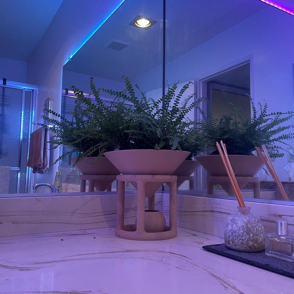 The FUNNEL Planter With Stand and Water Catch for Indoor House Plants ...