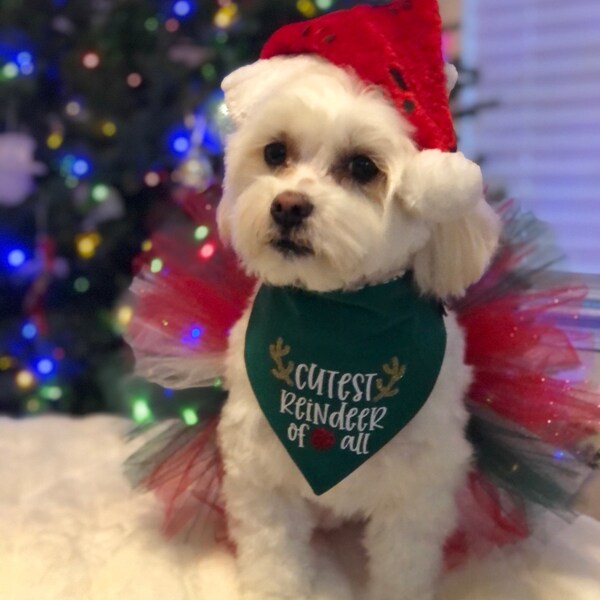 Happy Hallow Thanks Mas Svg, Funny Svg Files, Funny Holiday Svg, Cute ...