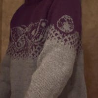 Bats Sweater Knitting Pattern - Etsy Canada