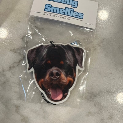 Funny Air Freshener Flaming Eye Freshener Cute Air - Etsy