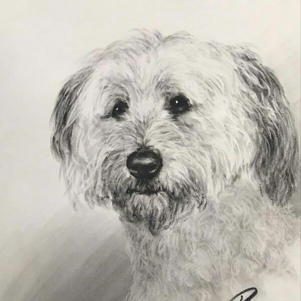 Pet Portrait Custom Charcoal | Pet Loss Gift | Dog Portrait Charcoal ...