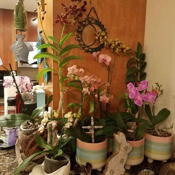 Beautiful Beaded Cross Garden Stake - Etsy