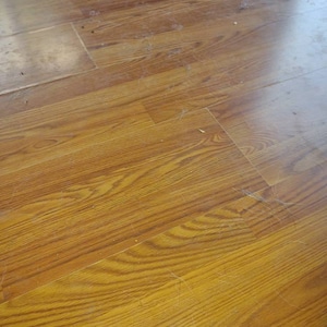 Custom Life Size Coroplast Cutouts of Any Photograph, Personalized Full ...