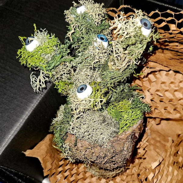 Labyrinth Eye Lichen, Labyrinth Eye Plant, Gothic Decor, Labyrinth ...