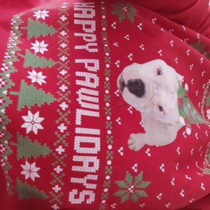 Personalized in My Bride Era Comfort Colors Shirt, Retro Bride, Future ...