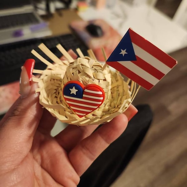 Mini 2" Pava Straw Traditional Hats & Toothpick Appetizer Puerto Rico ...