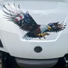 Parrot Drink Beach Vinyl Graphic Decal Sticker Window Rv Motorhome ...