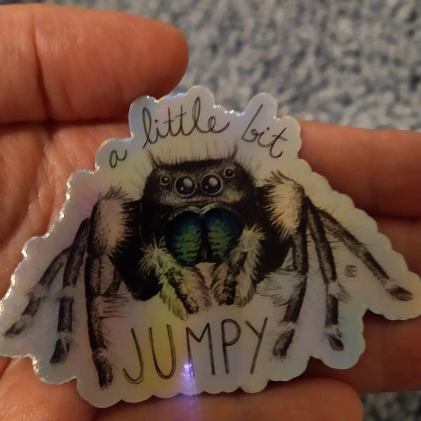 Roly Poly Vinyl Sticker - Etsy