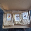 Giant African Land Snail Refresher Kit. Coir Substrate With Added ...