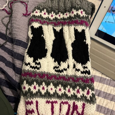 Dog Fair Isle Knit Charts of 16 Christmas Dogs With Charts and Detailed ...