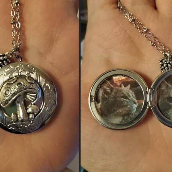 Mermaid Locket Necklace, Ariel's Locket, Little Mermaid Locket, Mermaid ...