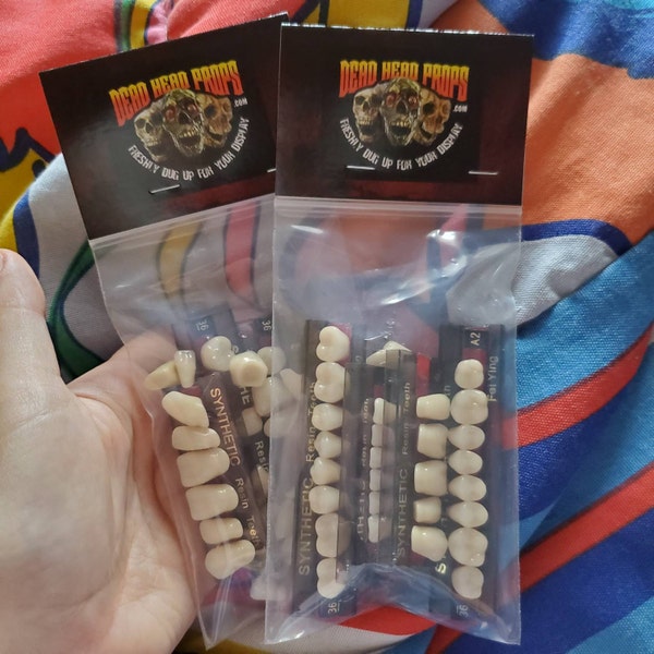 Halloween Horror Prop - Life Size Realistic Resin Full Mouth Set of ...