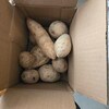 Fresh Hawaiian Purple Sweet Potatoes Ube Yam / Okinawan Sweet Potato ...