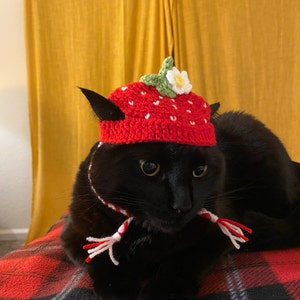 Dinosaur Hat for Cat Dinosaur Pet Costume Halloween Kitten | Etsy