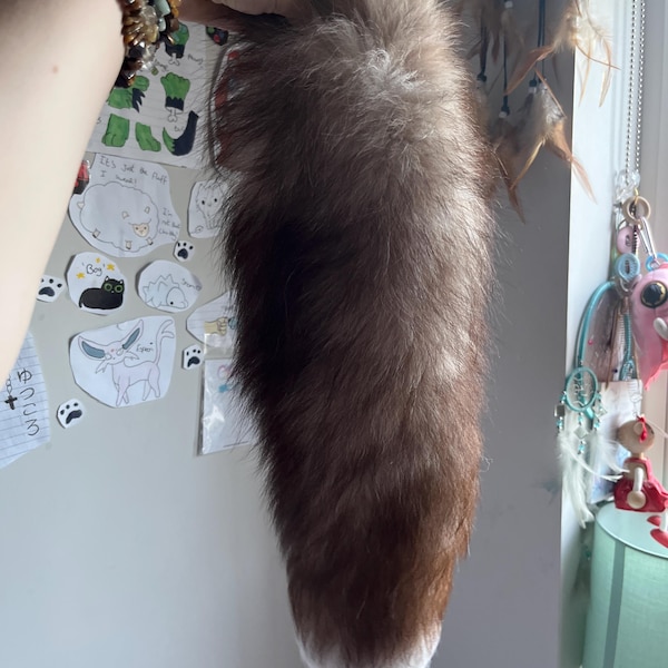 Genuine Finland Raccoon Large Size Hunting Animal Pelt Fluffy Soft ...