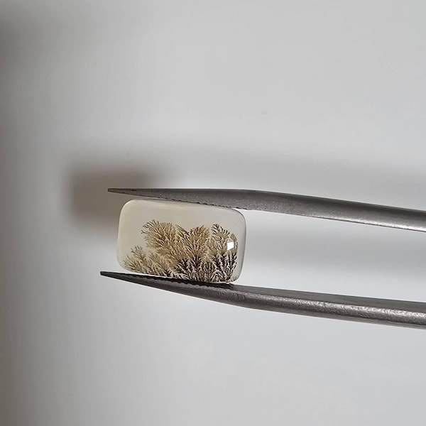 Aqua Kyanite Rosecut Gemstone Slices: Jewelry Making (6 Pieces) 16-18mm ...