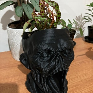 Happy Skull Horror Planter Unique Plant Pot Witchy/goth - Etsy