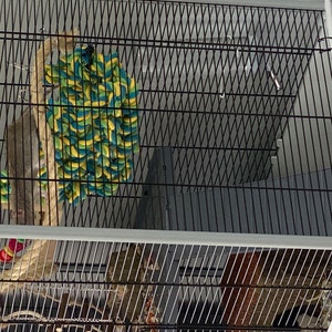 Small Pet Ladder for Cage Suitable for Rat, Hamster, Birds, Parrots ...