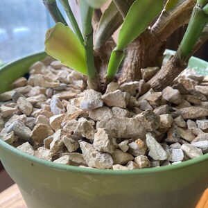 3/8 California Gold Crushed Gravel Rock Soil Topper for Succulents and ...