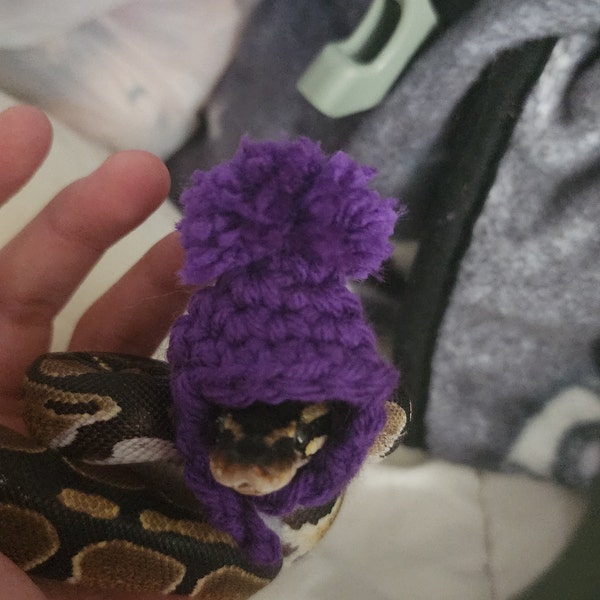 Snake Hat Pattern, Ball Python Hat, Crochet Snake Hat Pattern, Pom-pom ...