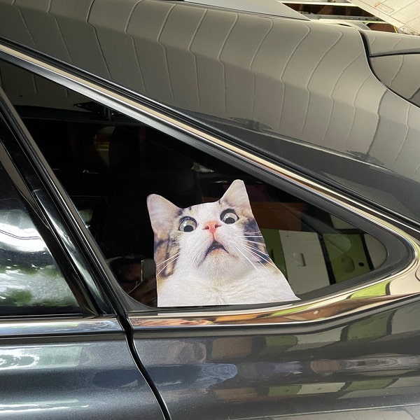 Scaredy Cat Sticker, Cat Sticker, Cat, Kitty, Cat Gift, Kitty Gift ...