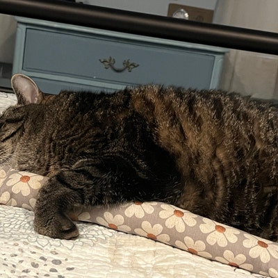 Heavy Duty Kick Sticks, Kick Sticks, Kitty Kickers, Catnip Toys, Cat ...