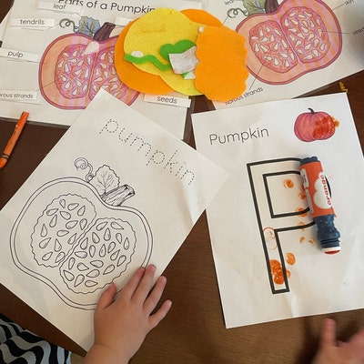 Pumpkin Mini Unit Study - Etsy