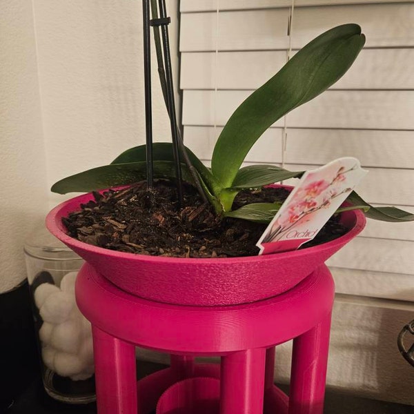 The Conduit Planter Pot With Stand and Water Drip Tray for Indoor Hoya ...