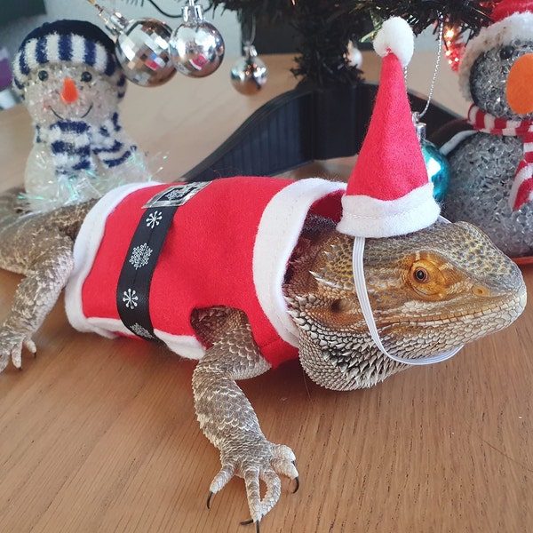 Christmas Fancy Dress, Santa, Bearded Dragon Clothes - Etsy