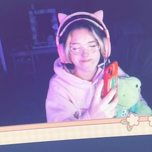 Twitch Cute Froggy Frog Stream Overlay Set / Streamer Graphics / Kawaii ...