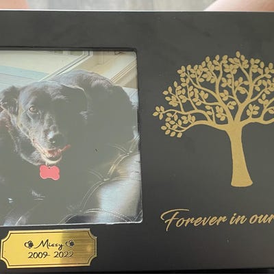 Personalized Pet Drink Stir Stick Custom Acrylic Printing Dog Cat Drink ...