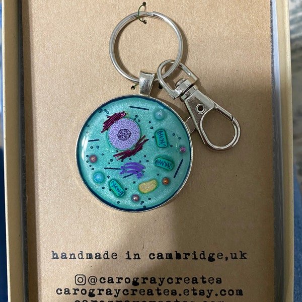 Animal Cell Keychain, Key Ring, Cell Biology, Biology Gift, Science Key ...