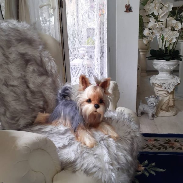 Puppy Michelle , made to Order Poodle Dog , Toy Poodle, Fur Toy Poodle ...