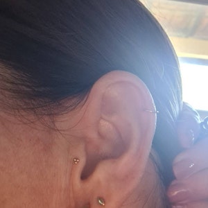 Titanium Conch Ring With One Side Swarovski Jewelled Cz Micro | Etsy