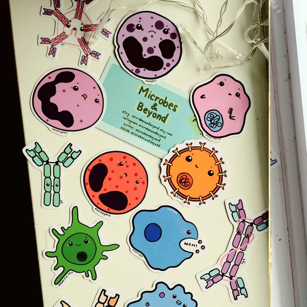 Cute Antibodies and Immune Cells Sticker Set - Etsy