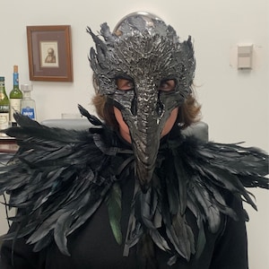 Black Bird Curved Beak Long Nose Skull Face Mask With Top Feather ...