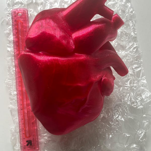 3D Printed Heart for 12ft Skeleton | Halloween Prop Accessory | Fits ...